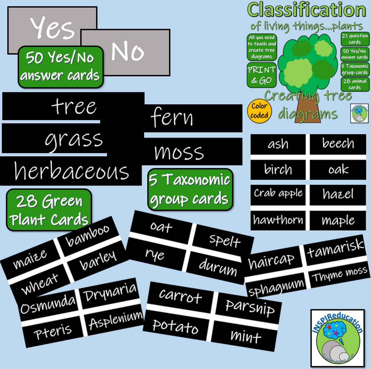 Classification of Green Plants - Decision Trees (Yes/No) Questions ...