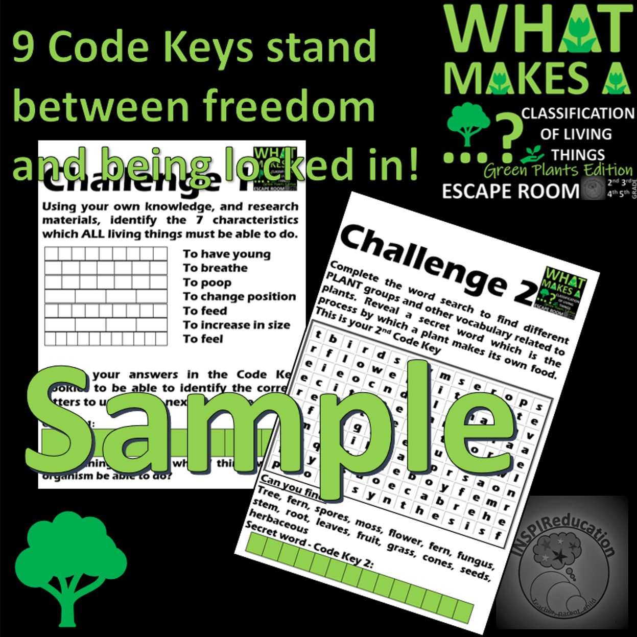 ESCAPE ROOM: Science - Classification of Green Plants - Amped Up Learning