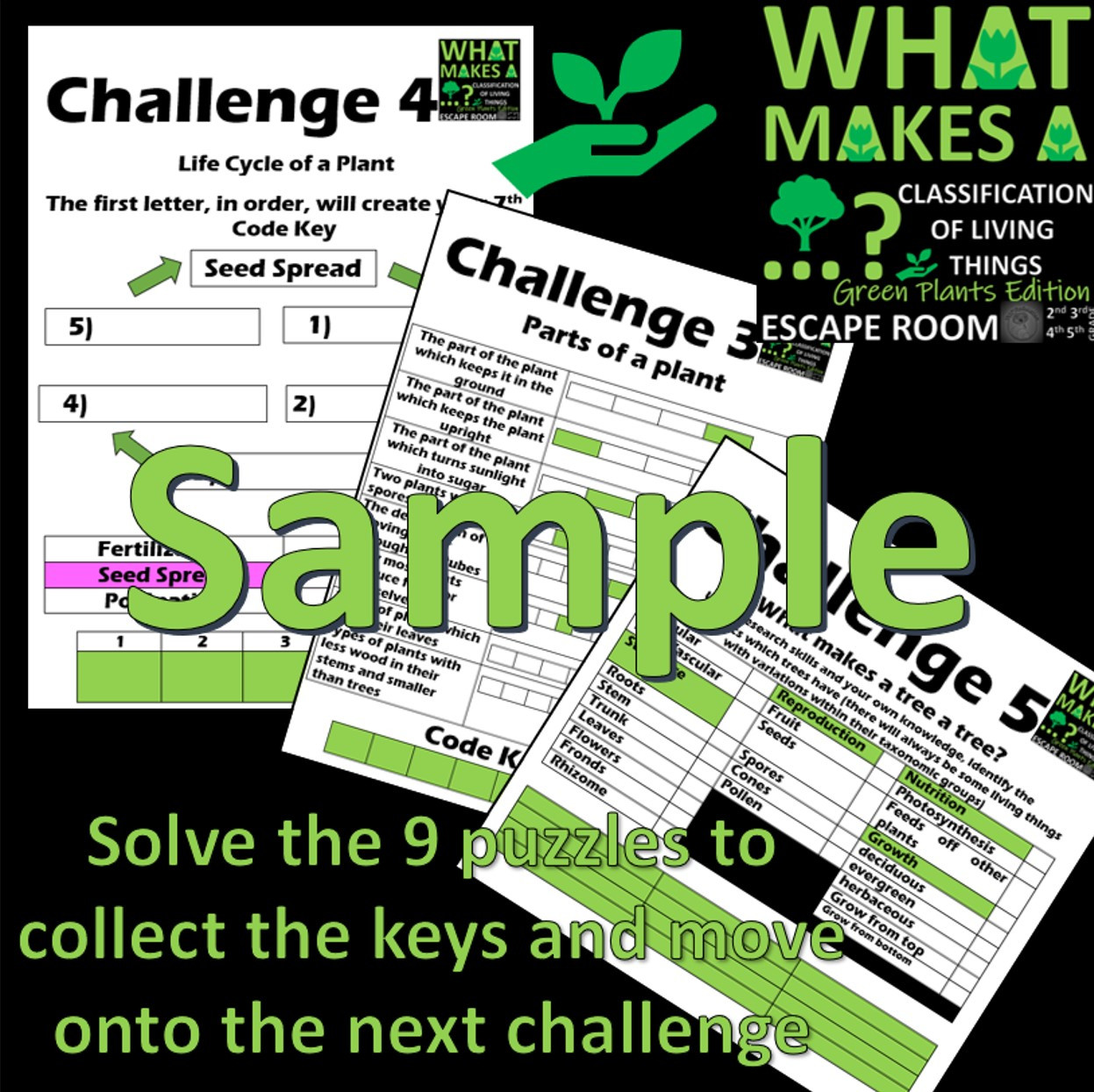 ESCAPE ROOM: Science - Classification of Green Plants - Amped Up Learning