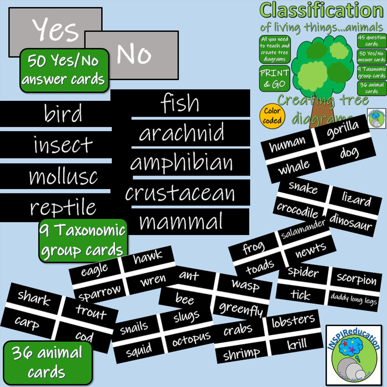 Education Chart Of Biology For Classification Of Animals Diagram