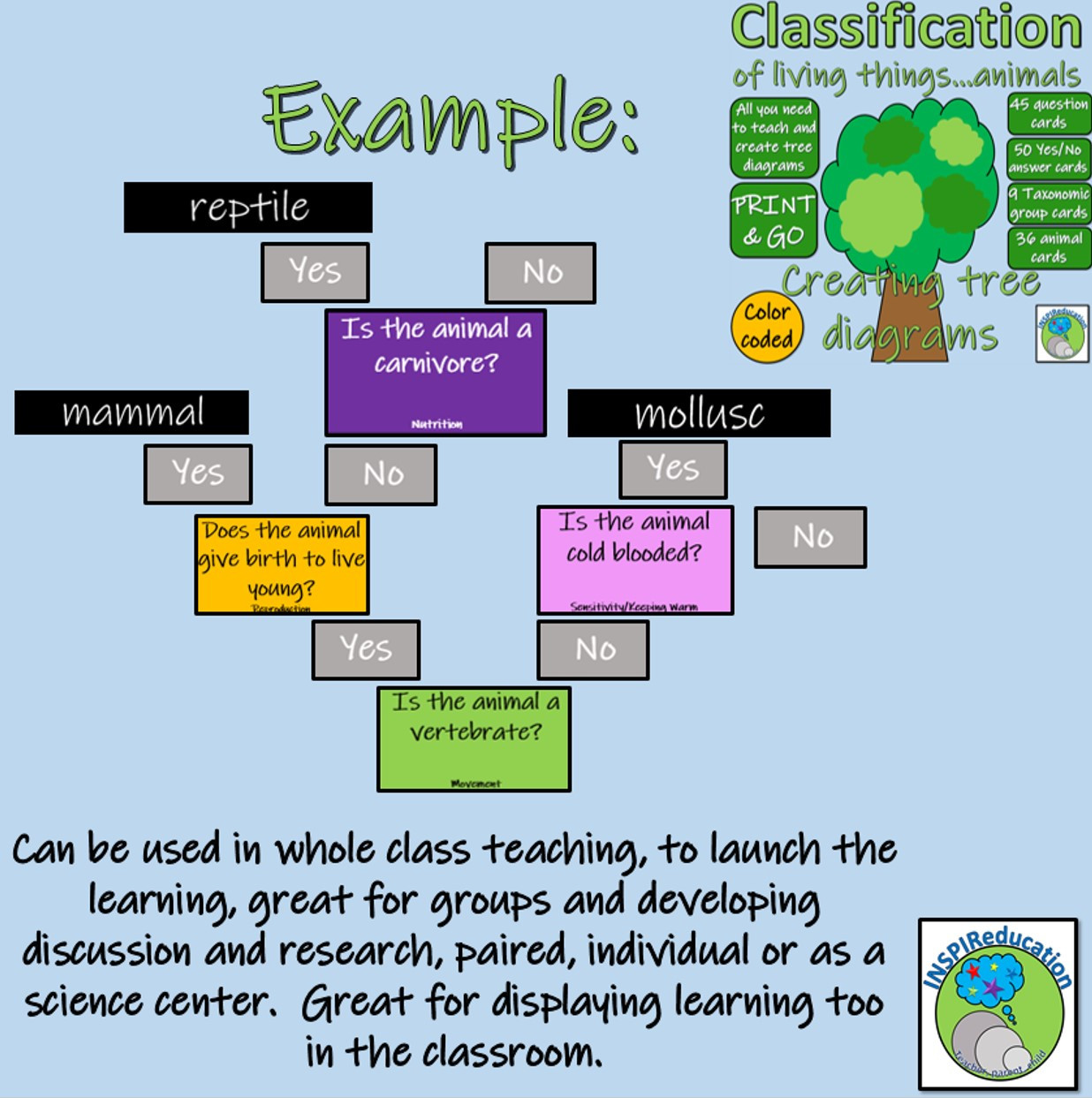 Types Of Classification Diagrams