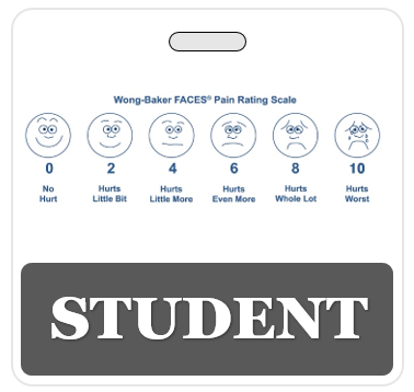 Badge Buddies- CUSTOMIZABLE! Great for Clinical Internship Students ...