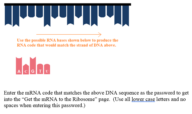 Digital Escape Breakout Room: DNA Transcription & Translation - Amped ...