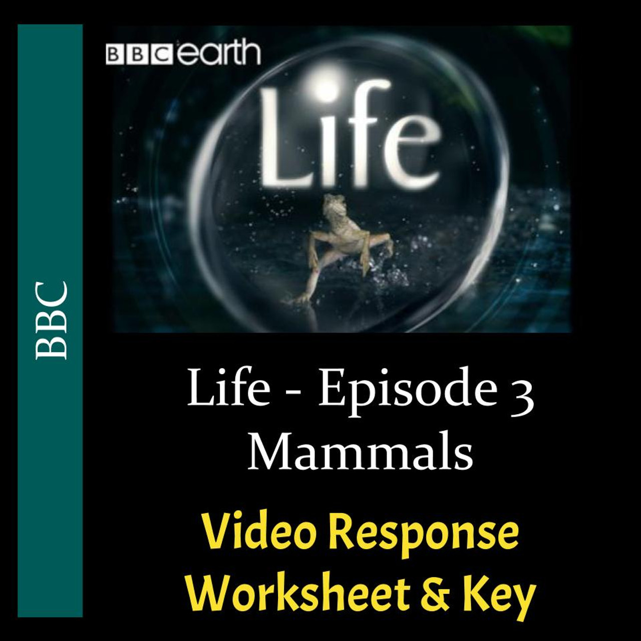 Life - Episode 03 - Mammals - Video Response Worksheet & Key - Amped Up ...