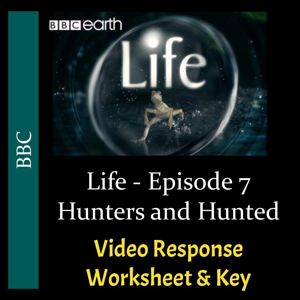 Life - Episode 07 - Hunters and Hunted - Video Response Worksheet & Key ...