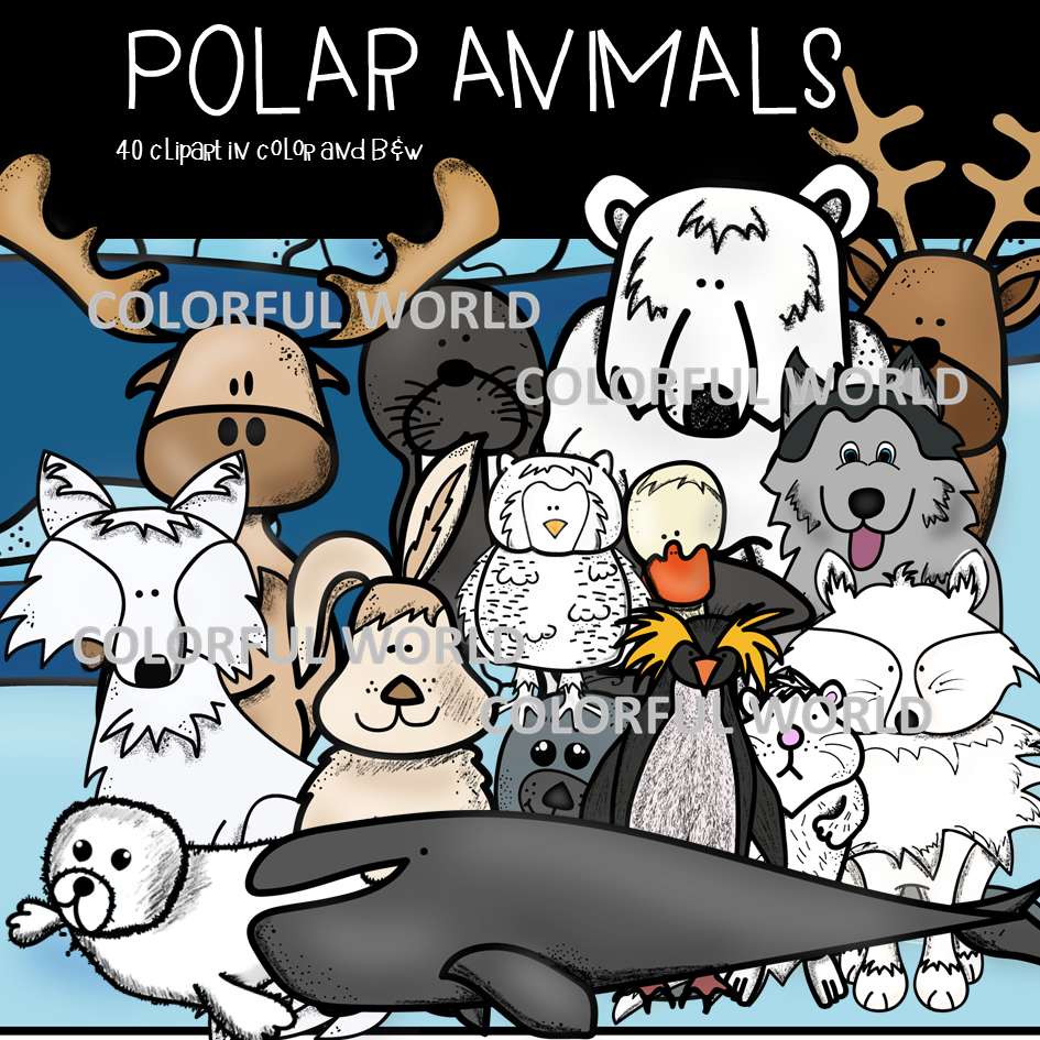 Polar animals clipart - Amped Up Learning