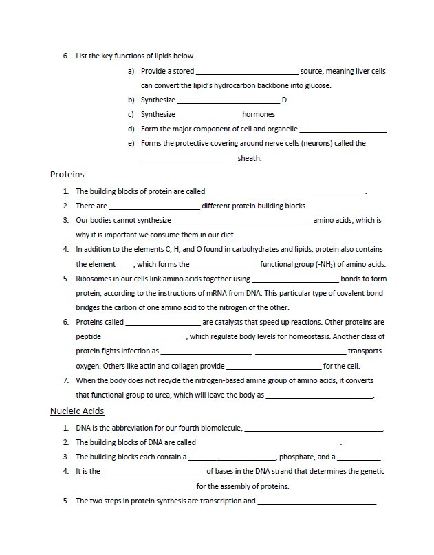 Macromolecule F-I-T-B Review Activity (Proteins, Lipids, Carbs, and ...