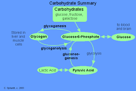 Enzyme Wars!! A Fun & Interactive Board Game Focusing on Chemical ...