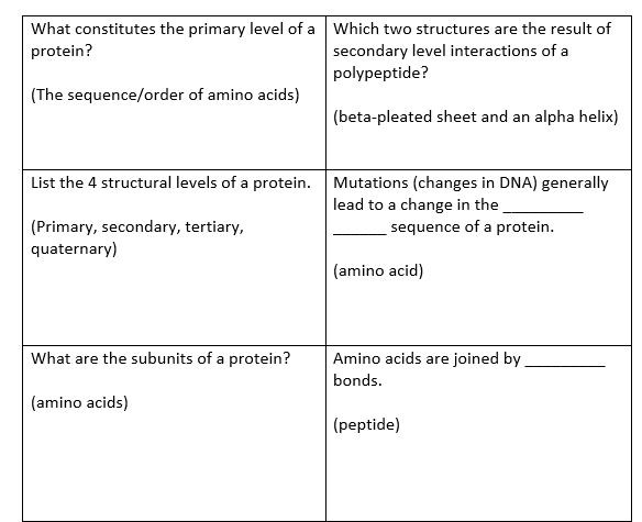 Enzyme Wars!! A Fun & Interactive Board Game Focusing on Chemical ...
