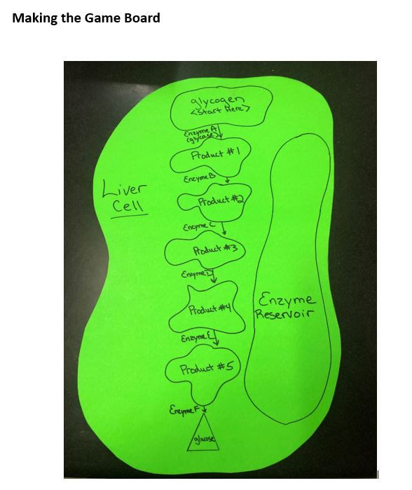 Enzyme Wars!! A Fun & Interactive Board Game Focusing on Chemical ...