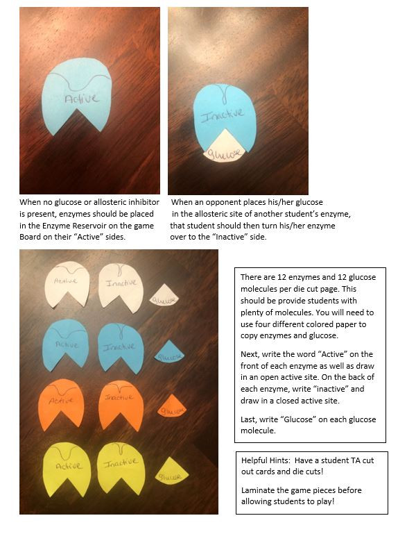 Enzyme Wars!! A Fun & Interactive Board Game Focusing on Chemical ...