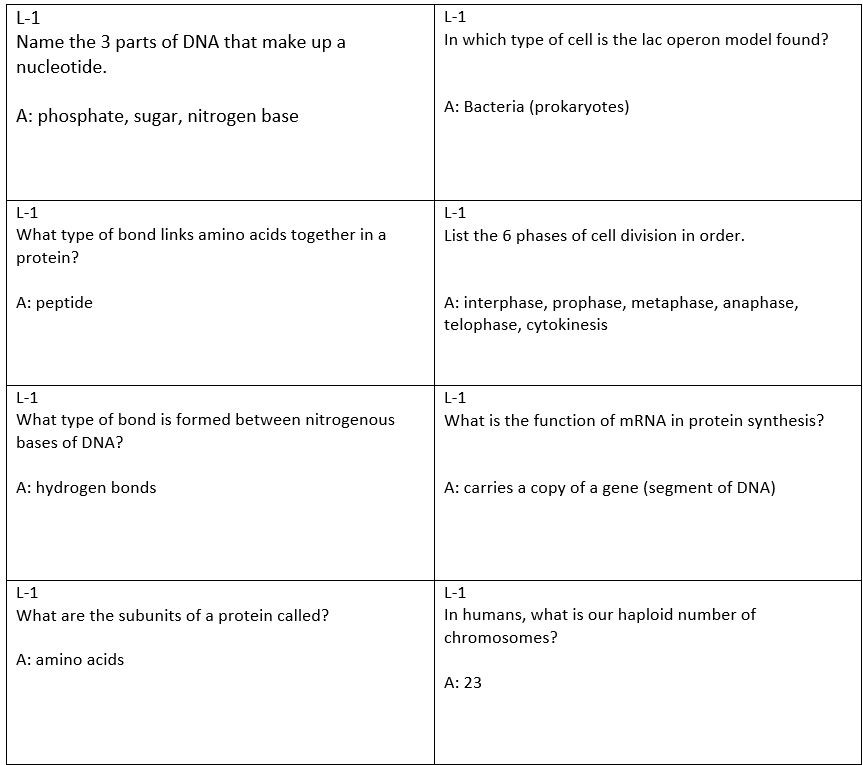 Greed!! (AP Biology Review Game #3) Molecular & Mendelian Genetics ...