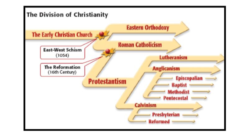 The Protestant Reformation - Amped Up Learning