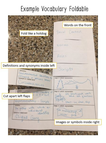 BUNDLE Social Psychology Unit - Amped Up Learning