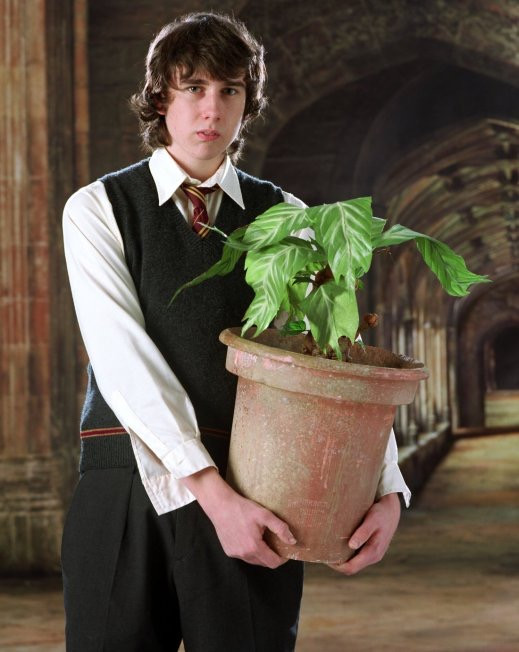 Harry Potter Life Sized Character Standee Collection - Amped Up Learning