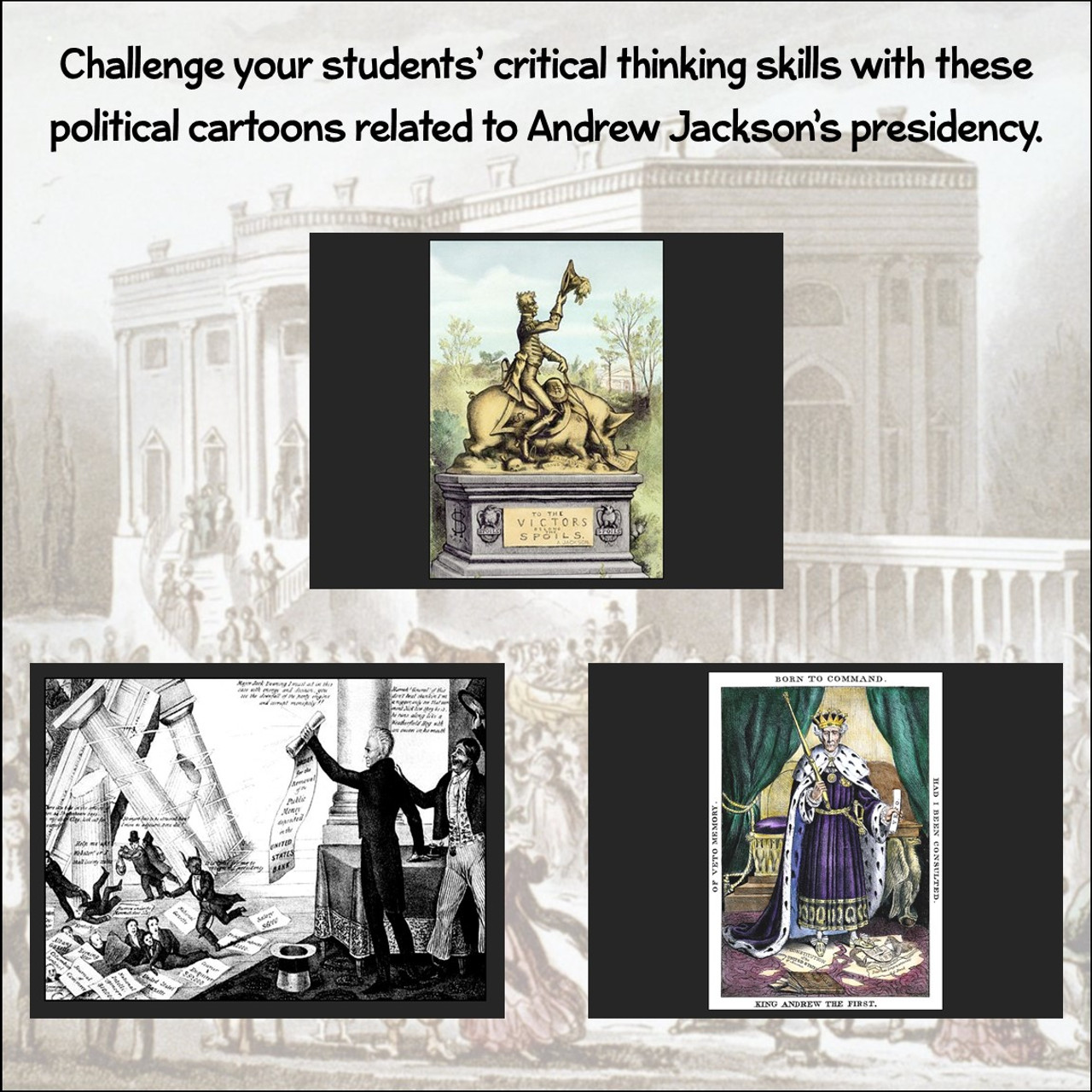 Political Cartoon Bundle: Andrew Jackson