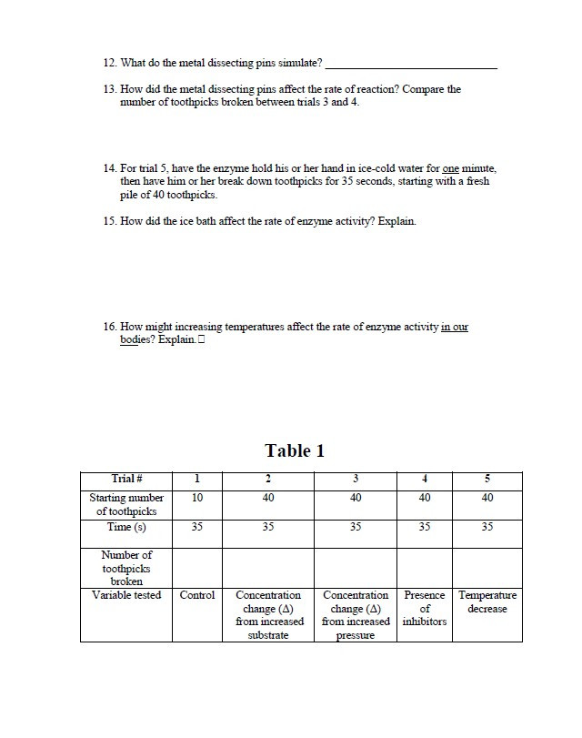 Factors that Affect the Rate of Enzyme Activity Lab using Toothpicks ...