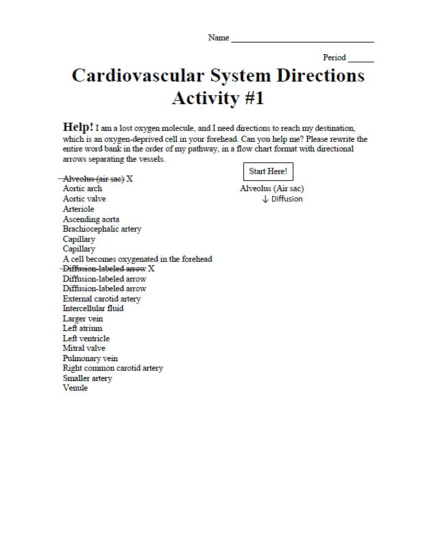 Help! Lost Molecule Cardiovascular System Directions Activity Set ...