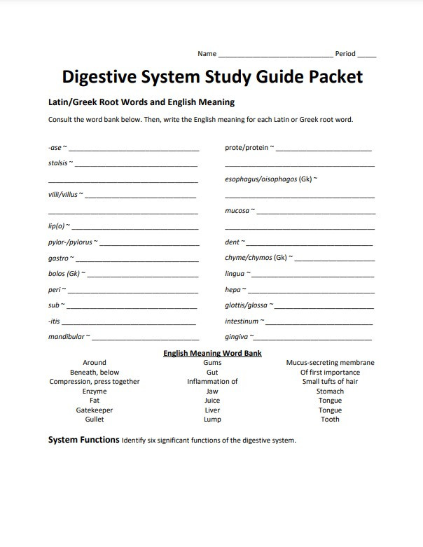 Digestive System Unit Study Guide Packet - Amped Up Learning