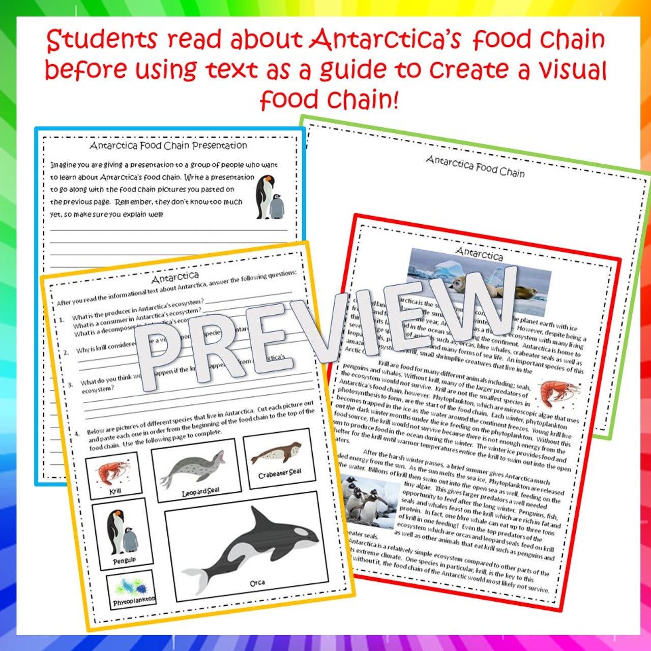 Ecosystems: Complete 5th Grade Unit (NGSS Aligned) - Amped Up Learning