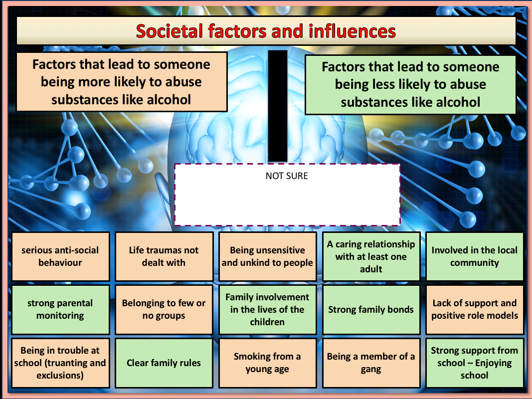 Alcohol and Bad Choices - Amped Up Learning