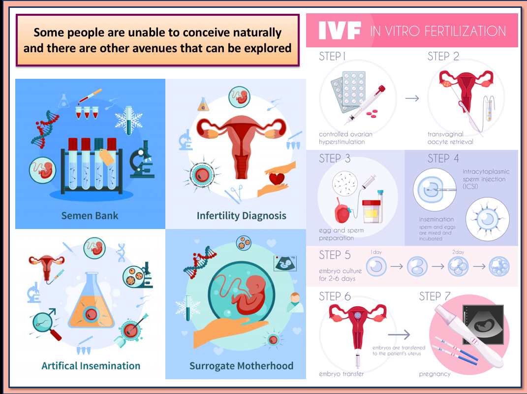 Fertility and What impacts it - Amped Up Learning