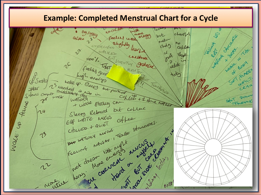 Menstrual Charting - Amped Up Learning