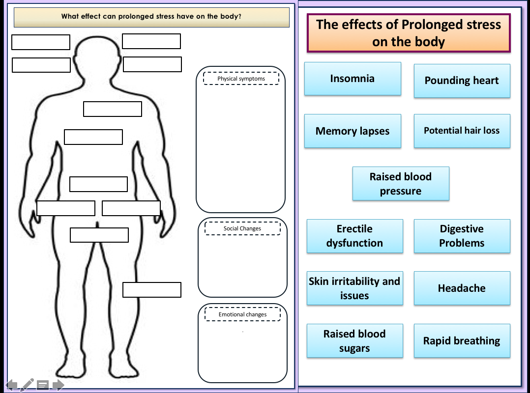 Balancing Stress and Relaxation Lesson - Amped Up Learning