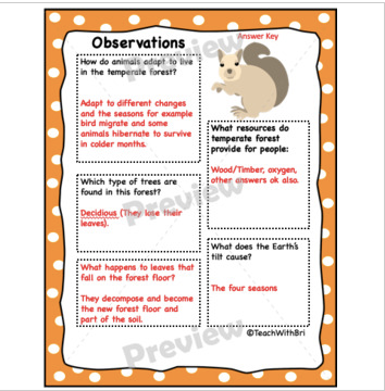 Virtual Field Trip to the Forest