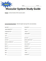 ANATOMY/PHYSIOLOGY MEDICAL CASE STUDIES- 3 per system- 33 TOTAL ...