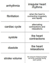 Circulatory System Part II Vocabulary Flash Cards for Anatomy - Amped ...