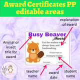 End of the Year Award Certificates Animal Insect Editable Preschool ...