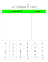 Phonics Sorts - Words & Letters - Amped Up Learning