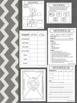 Photosynthesis - Bundle - Amped Up Learning