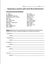 Respiratory System Latin Root Word Worksheet and Crossword Puzzle Set ...