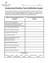 Anatomical Position Term Activity Series - Amped Up Learning