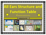 "All Ears" Structure and Function Table - Amped Up Learning