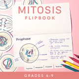 Mitosis Flipbook - Amped Up Learning