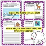 Virtual Field Trip to the Arctic Tundra