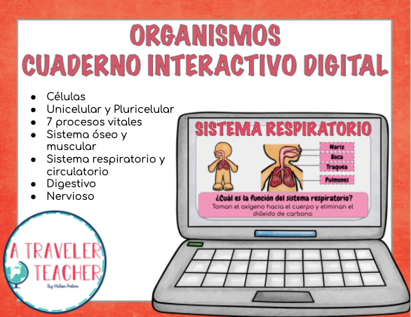 Digital Interactive Notebook (Cuaderno interactivo digital) for Spanish ...