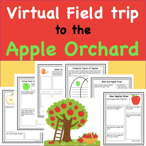 Apple Orchard Virtual Field Trip