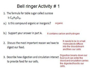 CLASSIFICATION- BIOLOGY DISTANCE LEARNING NOTEBOOK - Amped Up Learning