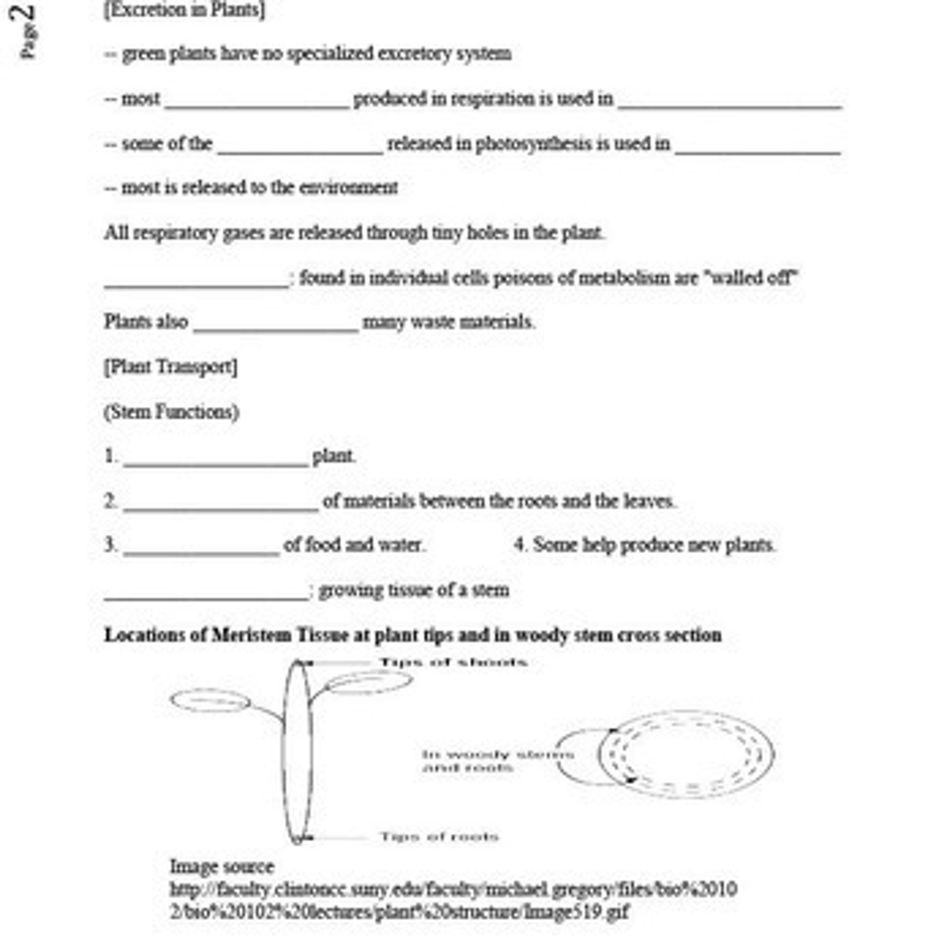 Parts of a Flower and Plant Reproduction Activities | Distance Learning
