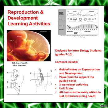 Parts of a Flower and Plant Reproduction Activities | Distance Learning