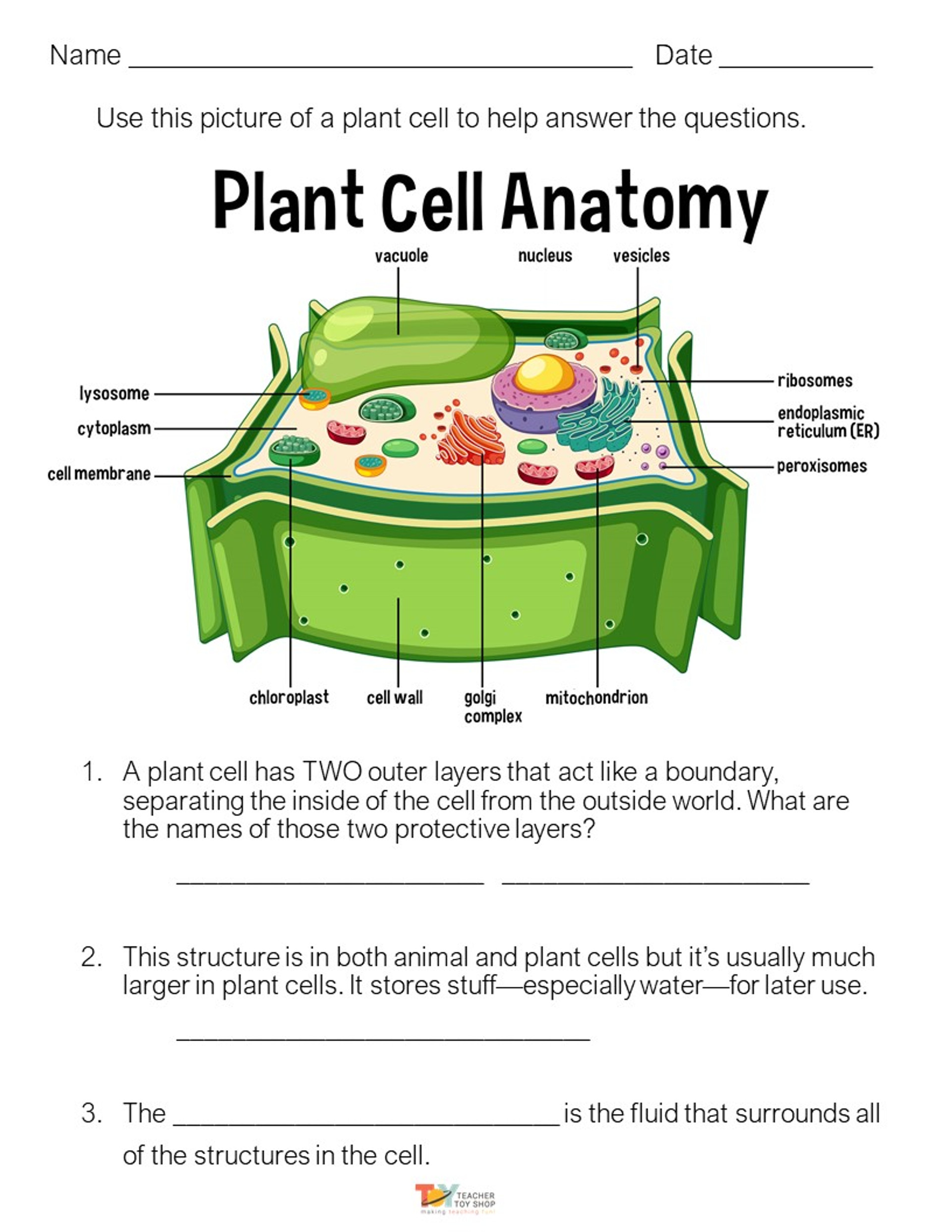 Plant Cells Organelle Activity | Google Slides™ for Distance Learning ...