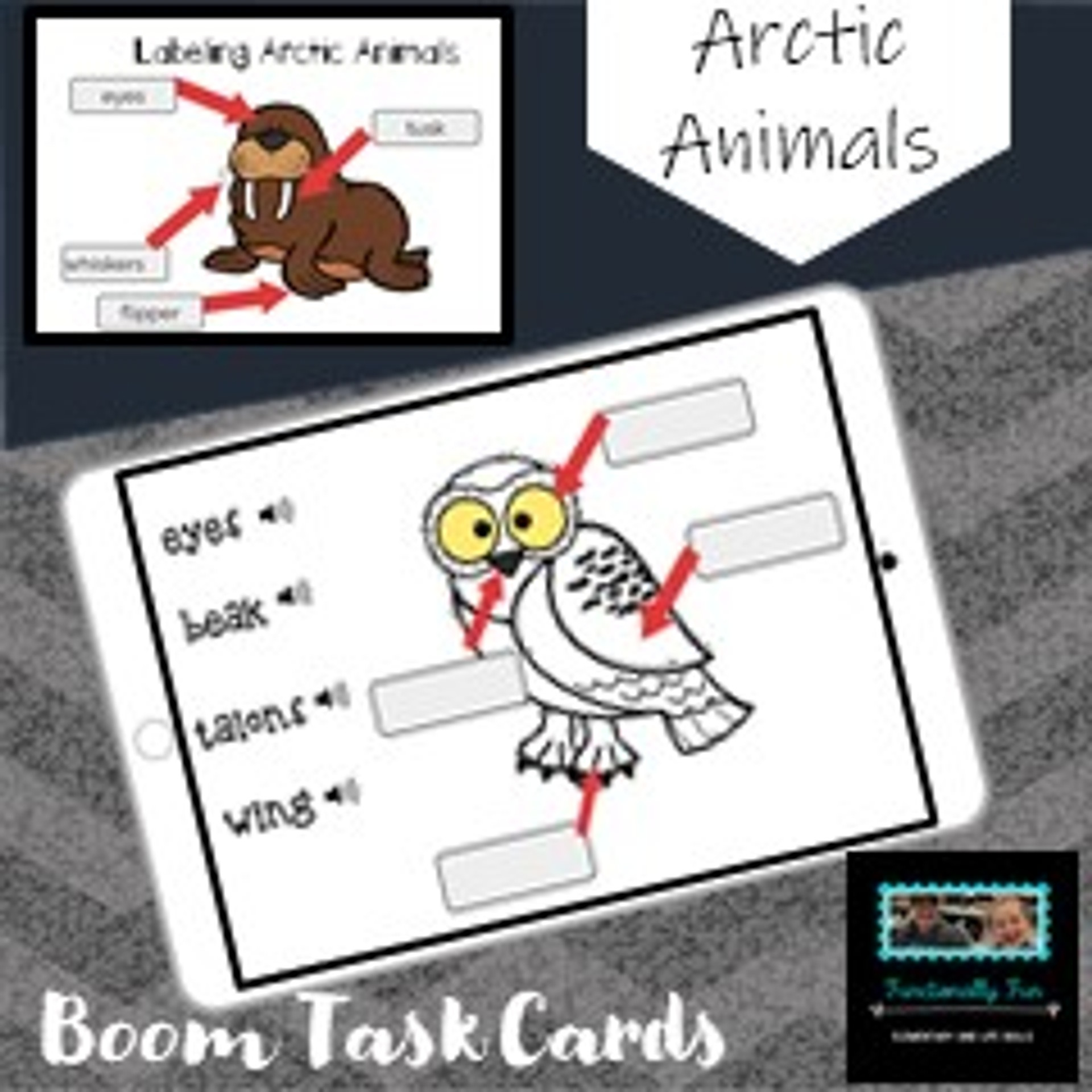 Label the Arctic Animals Boom Card