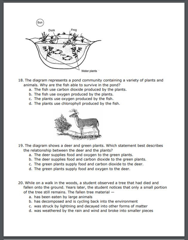 Matter and Energy Within Living Systems Exam - Amped Up Learning
