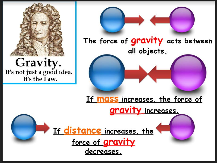 Forces: Gravity - Tropisms - Turgor Pressure - Body Systems - Amped Up ...