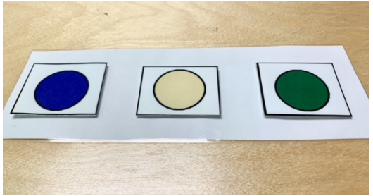 Structured Work System Essentials for Special Education