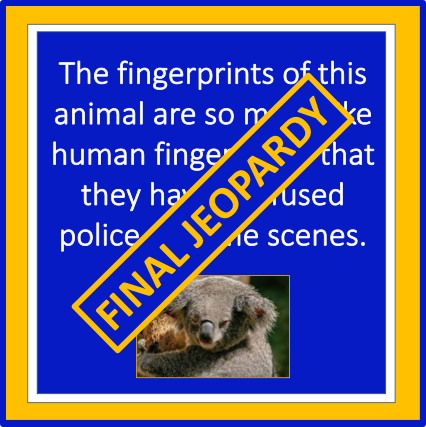 Ecosystems Jeopardy
